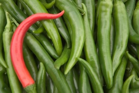 Long Cayenne Pepper (ਲੰਬੀ ਕੌੜੀ ਮਿਰਚ) – Malhi Farm